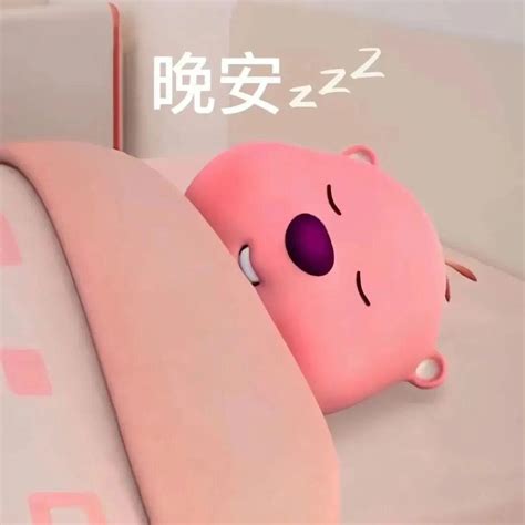 刷屏的小海狸露比loopy到底是谁？梗来源and表情包合集 哔哩哔哩