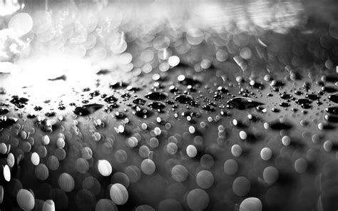 배경 화면 화이트 검은 단색화 사진술 원 동결 빛 액 모양 선 표면 어둠 검정색과 흰색 흑백 사진 닫다 매크로 사진 수분 1920x1200