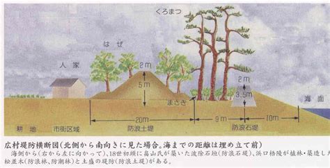 津波の教訓、廣村堤防、防潮堤、濱口梧陵の功績、広村堤防