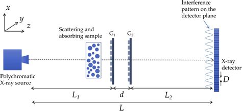 Beam Hardening Effects In Dual Phase Grating Interferometry X Ray