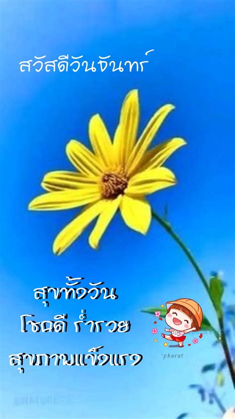 ปักพินโดย Gorawan ใน Quick Saves วันพุธ วันจันทร์ สวัสดีตอนเช้า