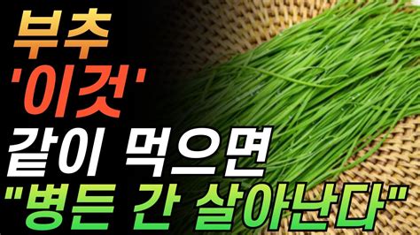 부추 이것과 같이 먹으면 병든간 살아난다 부추와 같이 먹으면 좋은 음식들 알고드시면 간건강에 큰 도움이 될 것입니다 Youtube