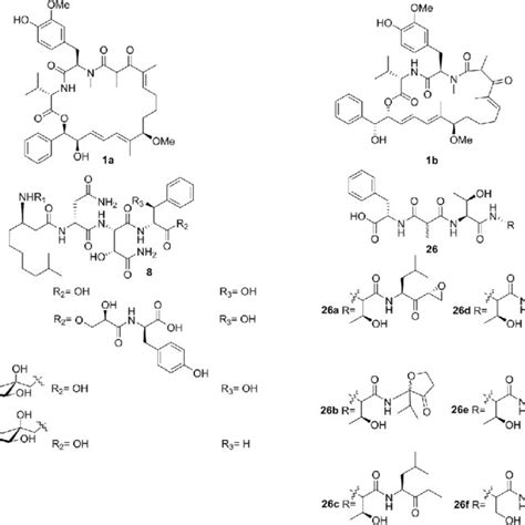 Structures Of Peptides Depsipeptides Cyclic Peptides And Peptolides