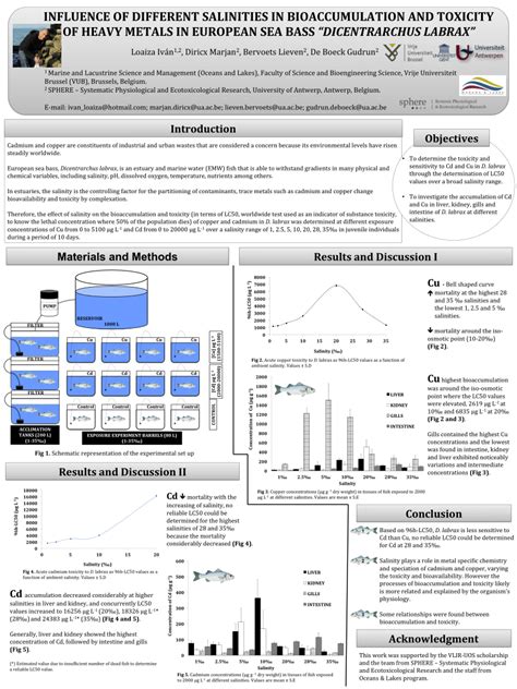 Pdf Influence Of Different Salinities In Bioaccumulation And Toxicity
