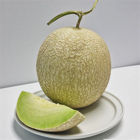 다양한 멜론 품종 알고 드세요 조효상점 행복은 과일 한 조각