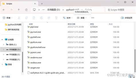 Wxpython安装windows 11环境下安装wxpython Csdn博客
