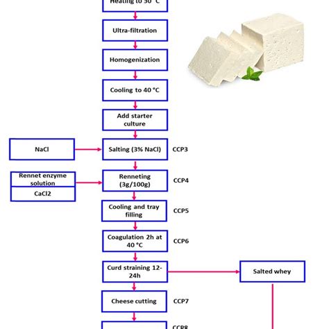Flow Diagram For Determination Of CCPs In Domiati S Cheese CCP Download Scientific Diagram