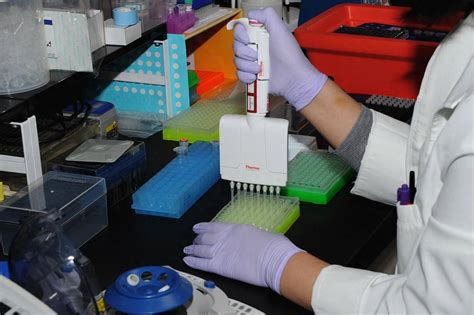 日本开发出适用于治疗部分类型胰腺癌的硼剂 研究人员 疗法 中子