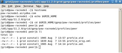 Oracleops Support Gpnp Grid Plug N Play Profile In Oracle 11g R2