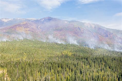 앨버타 브리티시 컬럼비아 캐나다에 있는 숲 산 불에서 연기와 록 키 산맥의 풍경입니다 산불에 대한 스톡 사진 및 기타 이미지 산불 0명 경관 Istock