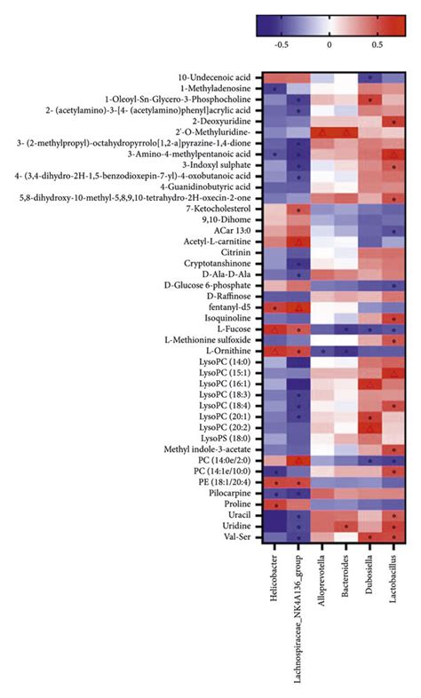 Spearmens Correlation Analysis Heatmap A B Correlations Between Download Scientific