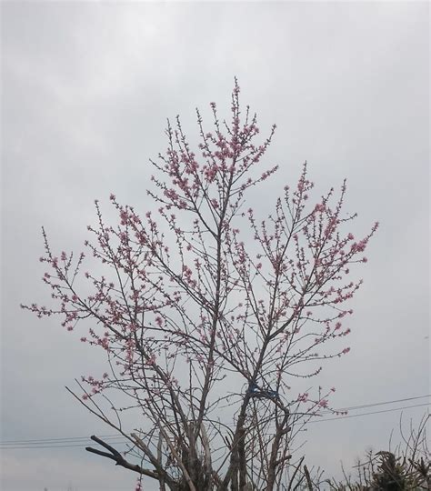 Zeeshan Rasool Khan On Linkedin Bamun