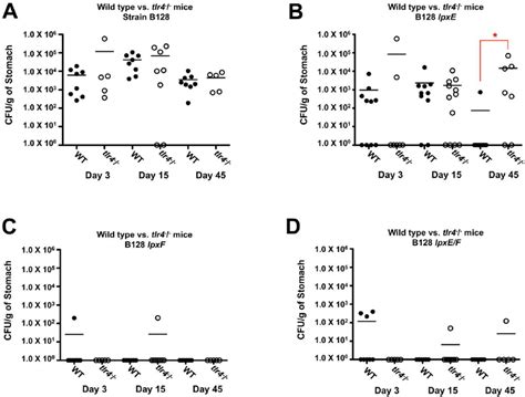 A Comparision Of In Vivo Colonization Of The Lpxe Lpxf And Lpxef