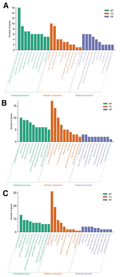 Gene Ontology Go Functional Annotations Of Differentially Expressed Download Scientific