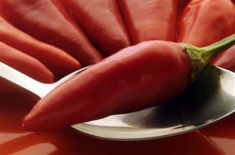 Sesso Stock Adobe Stock