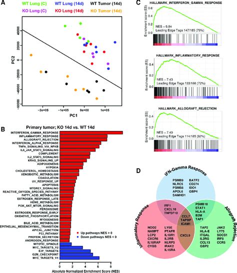 Rna Seq Analysis Reveals That Host Genotype Determines The Download Scientific Diagram