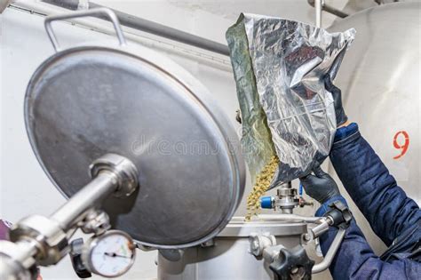 Industrial Brewing Process With Hops Added To Fermentation Tank Stock