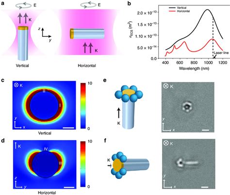 Trapping Configurations A Different Orientations Of Act For Download Scientific Diagram