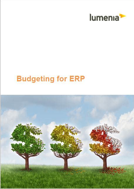 ERP Business Case Development Lumenia Consulting