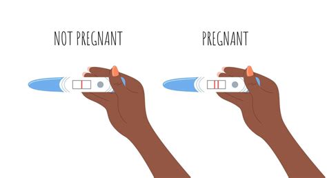 Premium Vector Hands Holding Positive And Negative Pregnancy Test