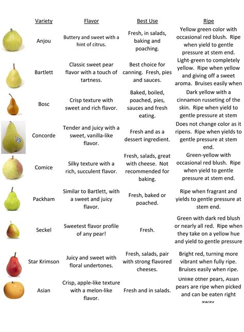 Pear Chart Pear Varieties Gracie Diet Exotic Fruit
