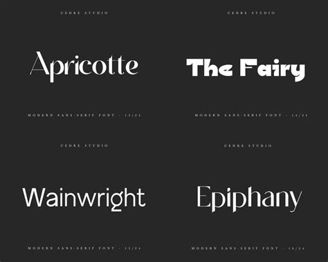 Modern Sans Serif Fonts Bundle 1 Elegant Sans Serif Font OTF Etsy