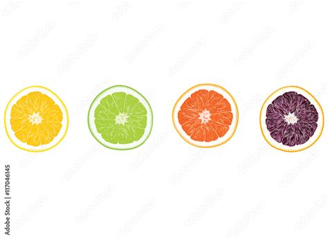 오렌지 자몽 레몬 레드 라임 Stock Vector Adobe Stock