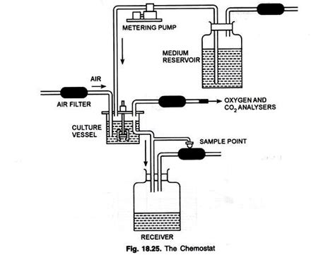 Cultivation Technique Of Bacteria Batch Fed Batch And Continuous Culture Technique Online