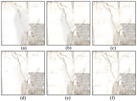 Sensors Free Full Text Deep Hdr Deghosting By Motion Attention Fusion Network