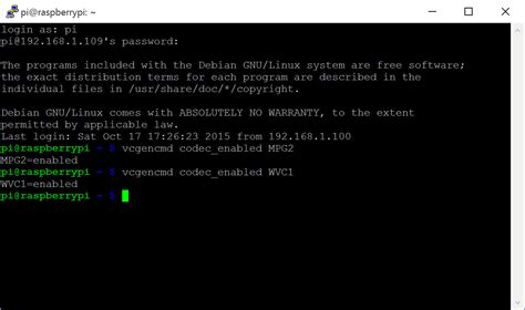 Raspberry Pi Codecs Aktiveren Installieren