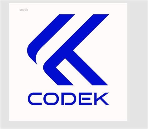 Codek Technologies Gujrat