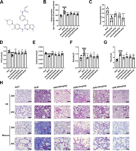 Avitinib Reduced Bleomycin Induced Pulmonary Fibrosis In C57bl 6 J
