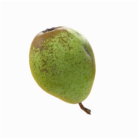 현실적인 녹색 배 05 3d 모델 19 Max Unknown 3ds Fbx Obj Free3d