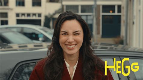 Thuisbatterij Van Hegg Energy