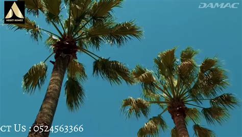 Kiran Mahajan Posted On Linkedin