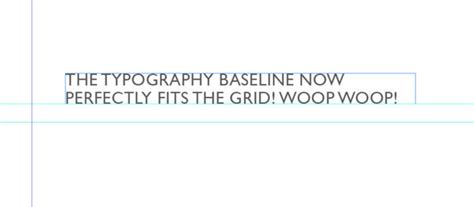 The Ultimate Beginners Guide To The Baseline Grid H S Blog