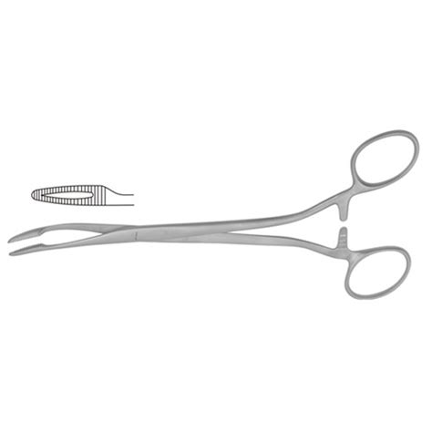 Sponge Holding Forceps