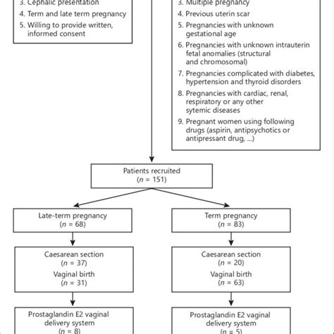 The Flowchart Of Study Cohort Download Scientific Diagram