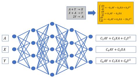 Interpretable Polynomial Neural Ordinary Differential Equations Deepai