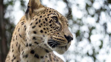 Kirthar National Park Visitsilkroad