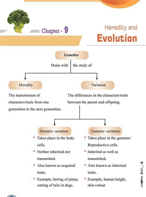 Class 10 Science Heredity And Evolution Notes All Important Notes
