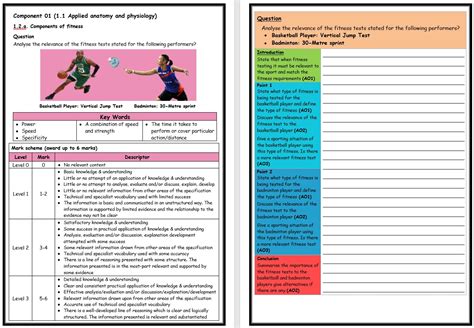 GCSE PE OCR Structure Strip Fitness Testing Extended Question Worksheet