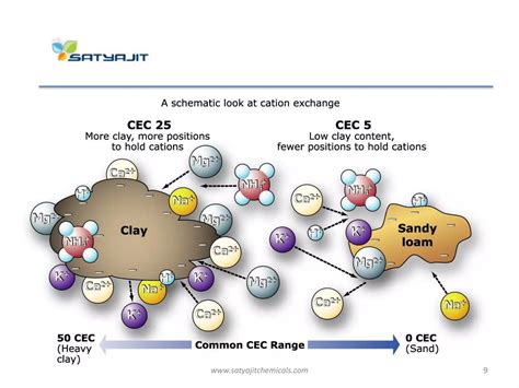 Soil Application Or Foliar What S Best For The Indian Farmer PPTX