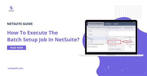 A Professional Guide To Batch Setup Job In Netsuite 2024