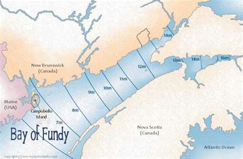 Maps My Campobello