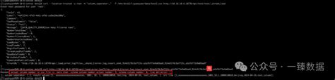 【apache doris】stream load 最佳实践指南 墨天轮