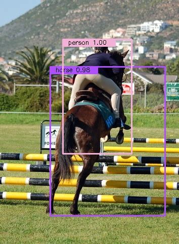 GitHub Csm Kr Faster Rcnn Pytorch Blossom Re Implementation Of