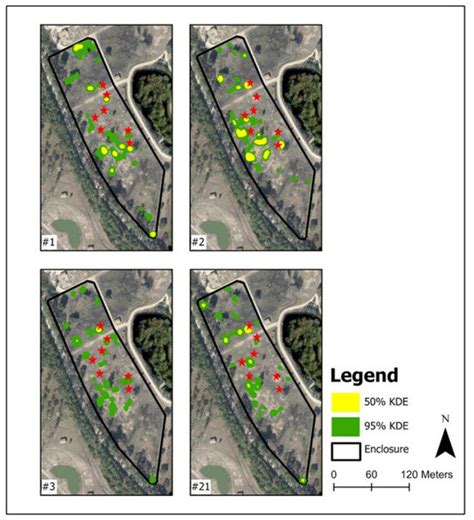 Pilot Investigation Of Socio Spatial Relationships In An Ex Situ White