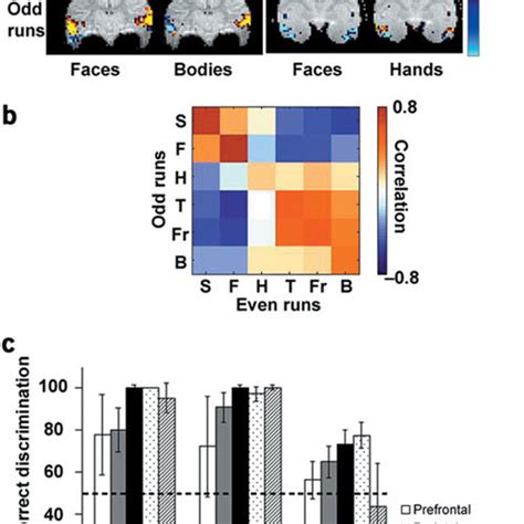 The Information Content Of Distributed Activity Patterns In Different Download Scientific