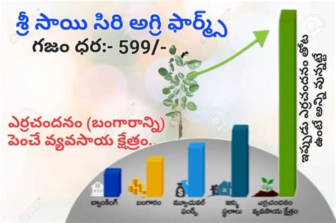 Nani Palagani Gowd On Linkedin Wise Investment Making You A